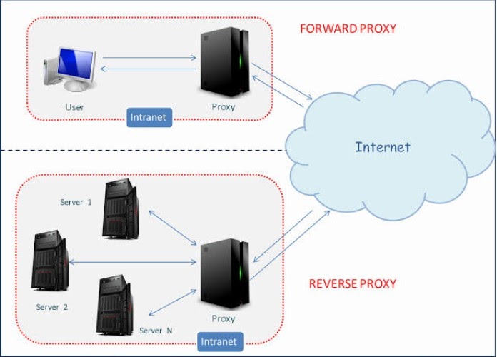 What Is A Proxy Server: Everything You Have To Know | Robots.net