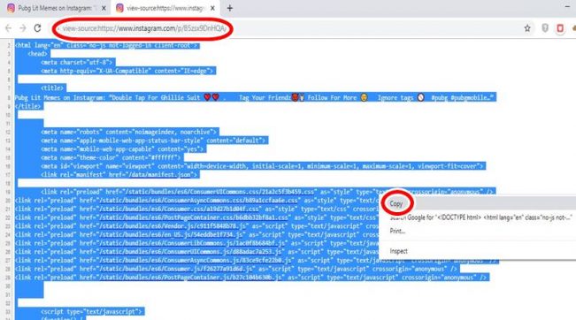 In-Depth Guide on How to Download Instagram Videos [Beginner-Friendly]