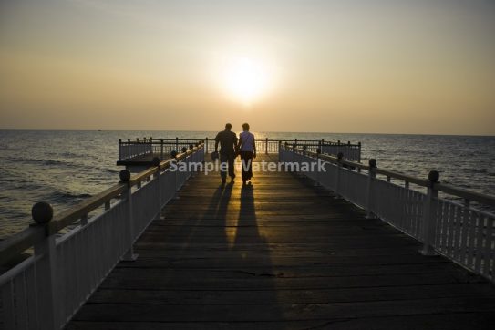 A Beginners Guide to Downloading Getty Images | Robots.net