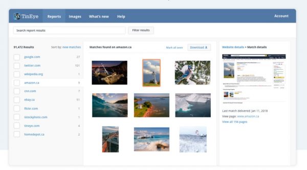 13 Best Free People Search Engines and Websites [Tips Included]
