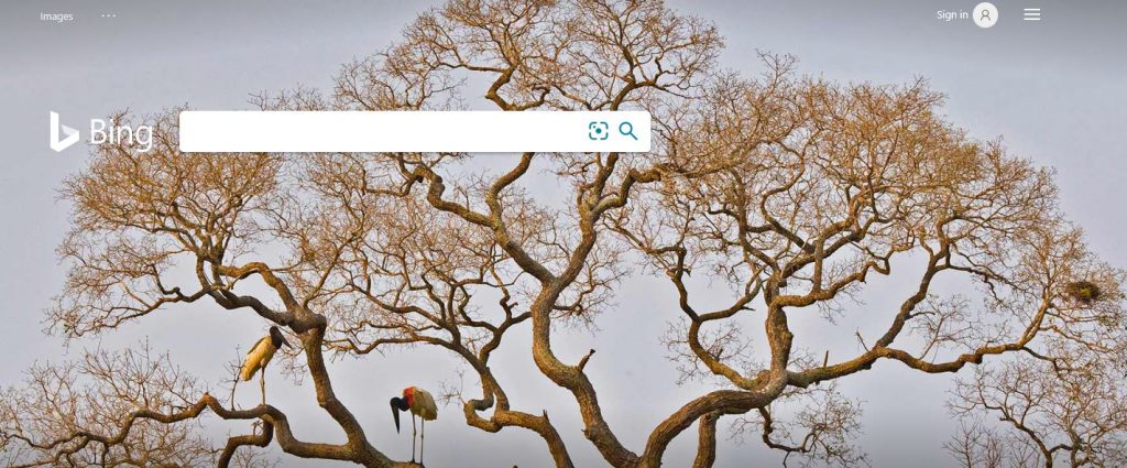 17 Most Powerful Alternative Search Engines in 2022 | Robots.net