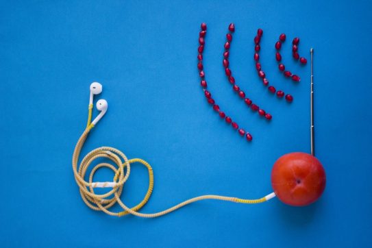 Wiretapping: Everything You Need to Know | Robots.net