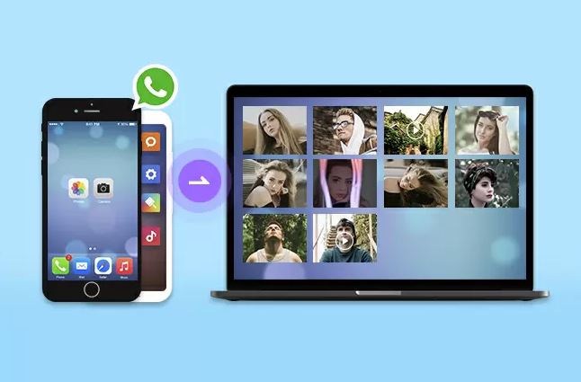 How to Connect and Use WhatsApp Web [Mac & Windows] | Robots.net