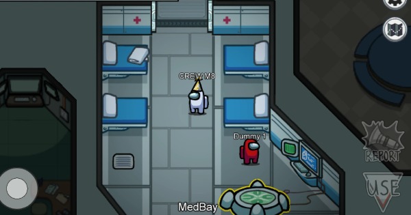 Among Us Game for PC: Everything You Need to Know | Robots.net