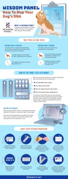 Wisdom Panel: How to Map Your Dog’s DNA | Robots.net