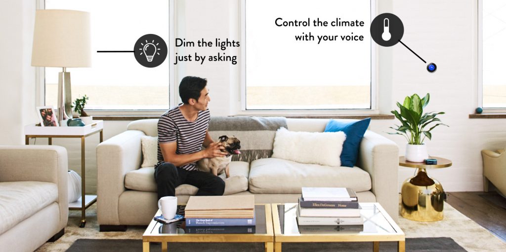 Set Up Alexa Smart Home: Connect Lights, Appliances, Etc. | Robots.net