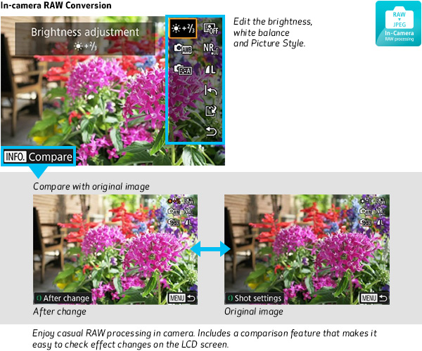 Canon PowerShot G9 X Mark II Review: Is Best Point And Shoot Camera?