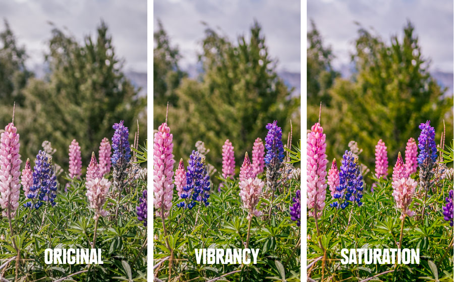 How to Edit Photos to Improve Lighting, Sharpen Images, and More