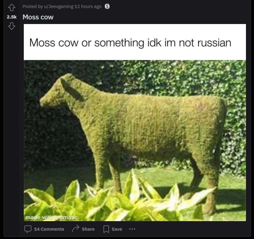 How to Make a Subreddit: A Beginner’s Guide | Robots.net