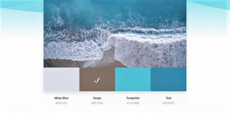 How to Use Canva: Create Quick and Easy Graphic Designs