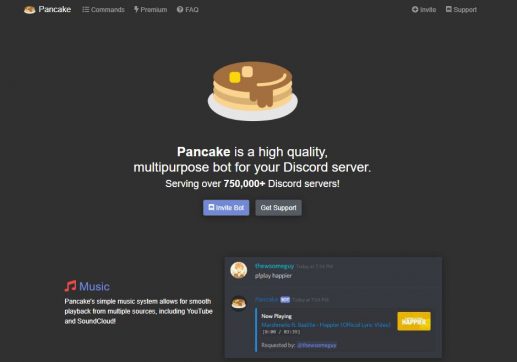 15 Best Music Bots for Discord Your Server Will Vibe To | Robots.net